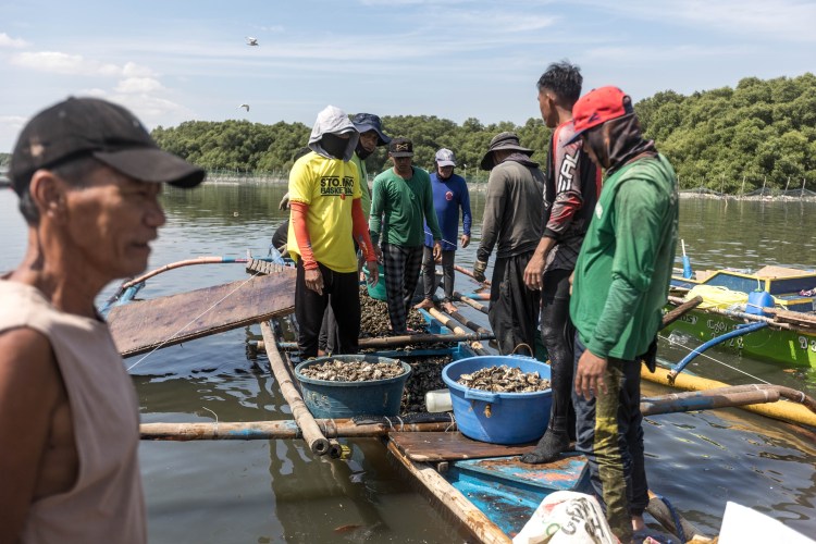 Manila Bay Reclamation Projects – KATHLEEN LEI LIMAYO
